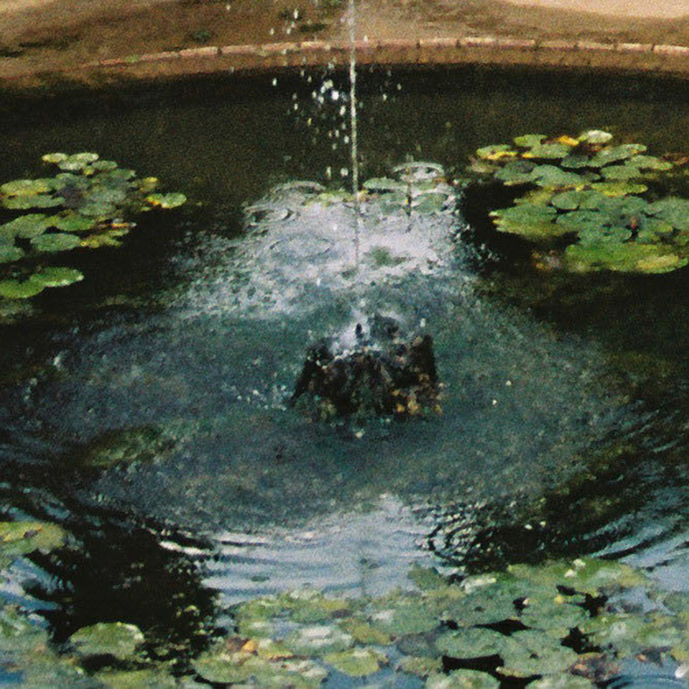 DUCKS LTD – ” The Main Thing “ | The Fat Angel Sings