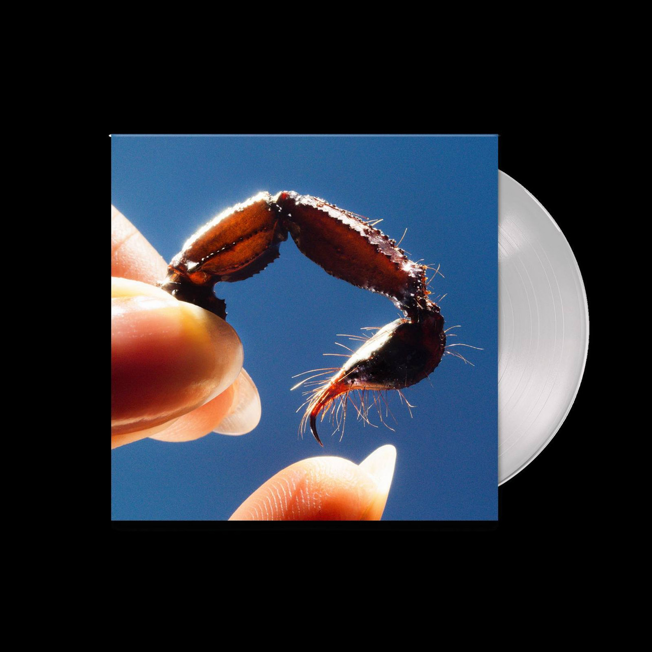 SQUID – ” Cowards ” | The Fat Angel Sings